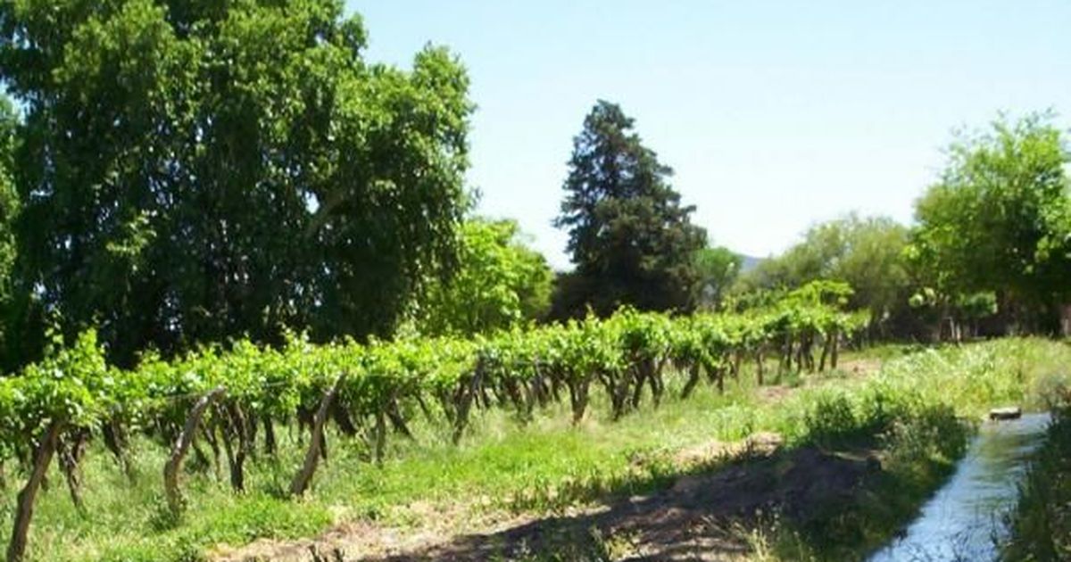 Nene cayó y se ahogó en un canal de riego