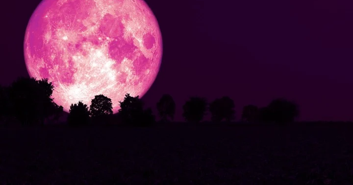 Luna Rosa de abril 2023: cuándo y dónde ver el fenómeno en la Argentina