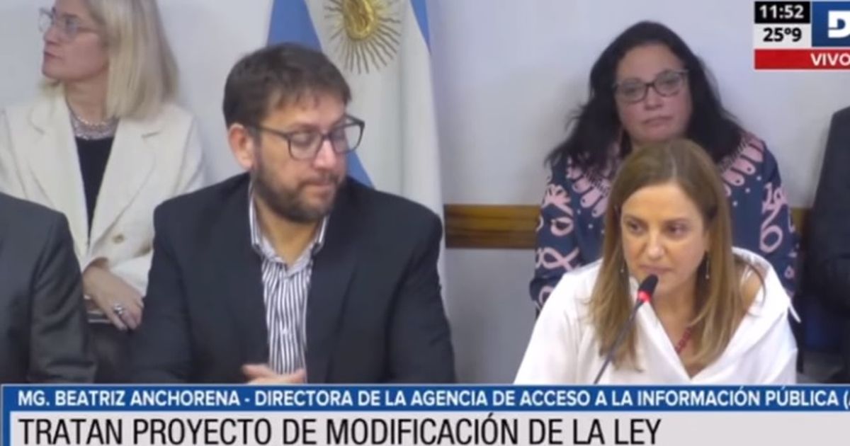 Diputados inició el debate para modificar la Ley de Protección de Datos Personales