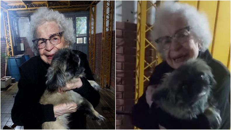 Abuela sanjuanina de 97 años se reencontró con Sultán, su perro que ...