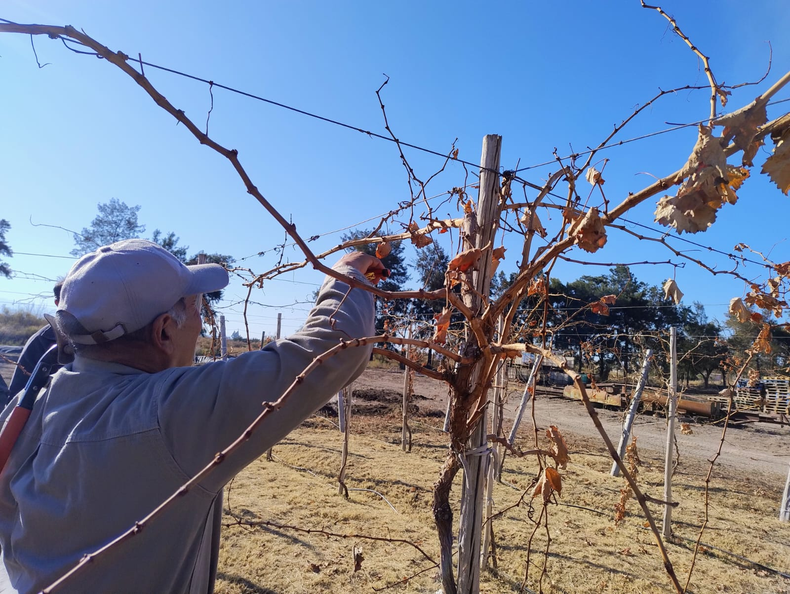 En el INTA San Juan sigue la crisis y los empleados pagan el ...