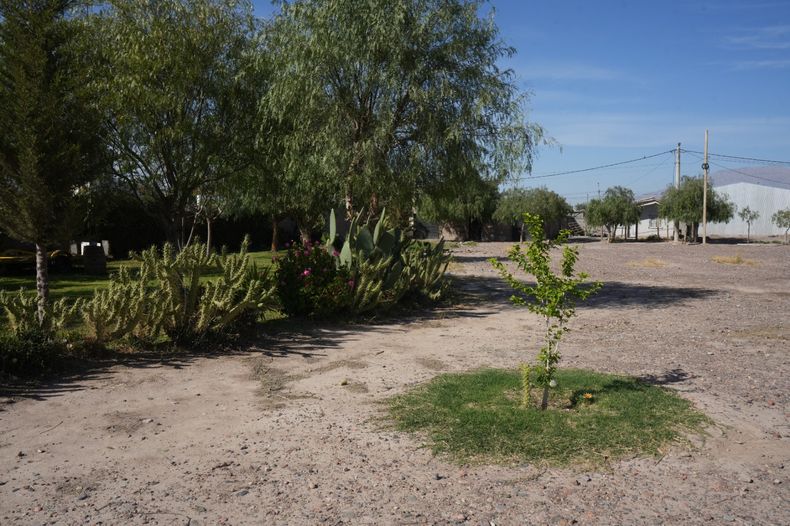 Un oasis en medio de dos barrios en Pocito: así es el jardín creado y ...
