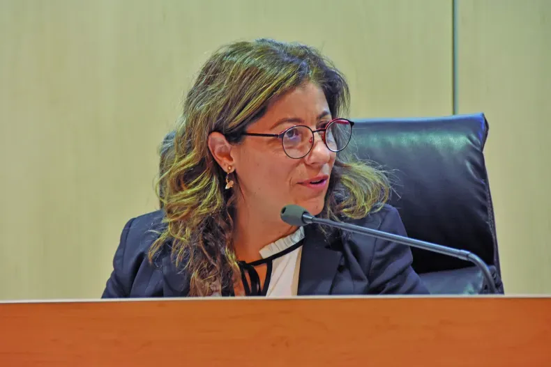 La jueza federal Eliana Rattá habilitó el tratamiento del amparo made ...