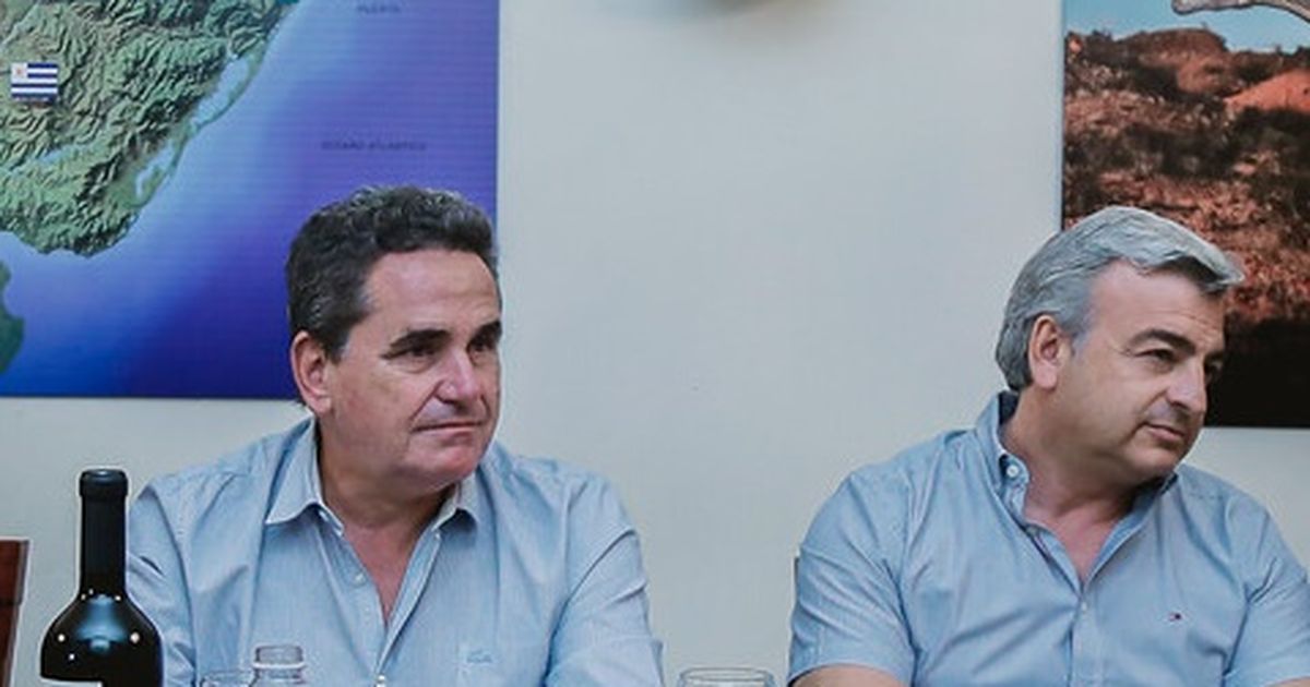 Quién es Mauricio Colomé, el nuevo presidente de los bodegueros sanjuaninos