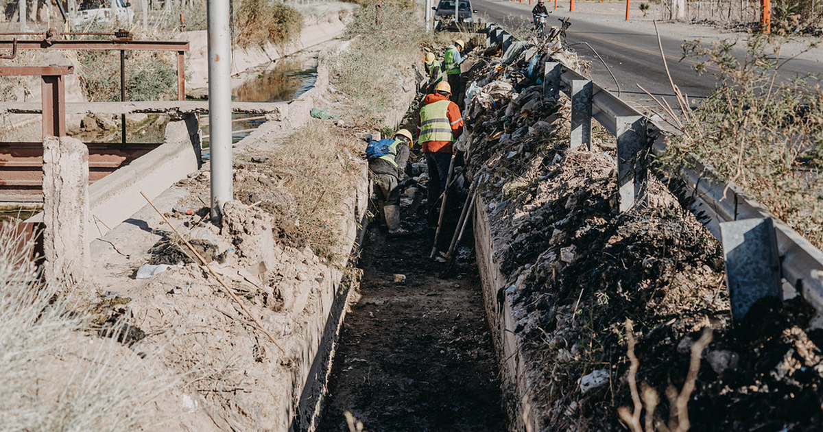 Ariana vargas nudes attempted to book Momo but she wasn't