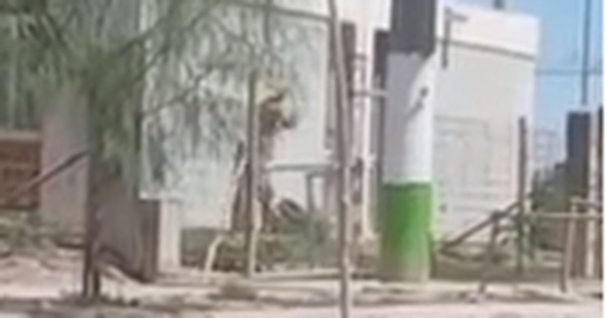 Aparecieron los videos de la brutal gresca en Pocito por la que un ...