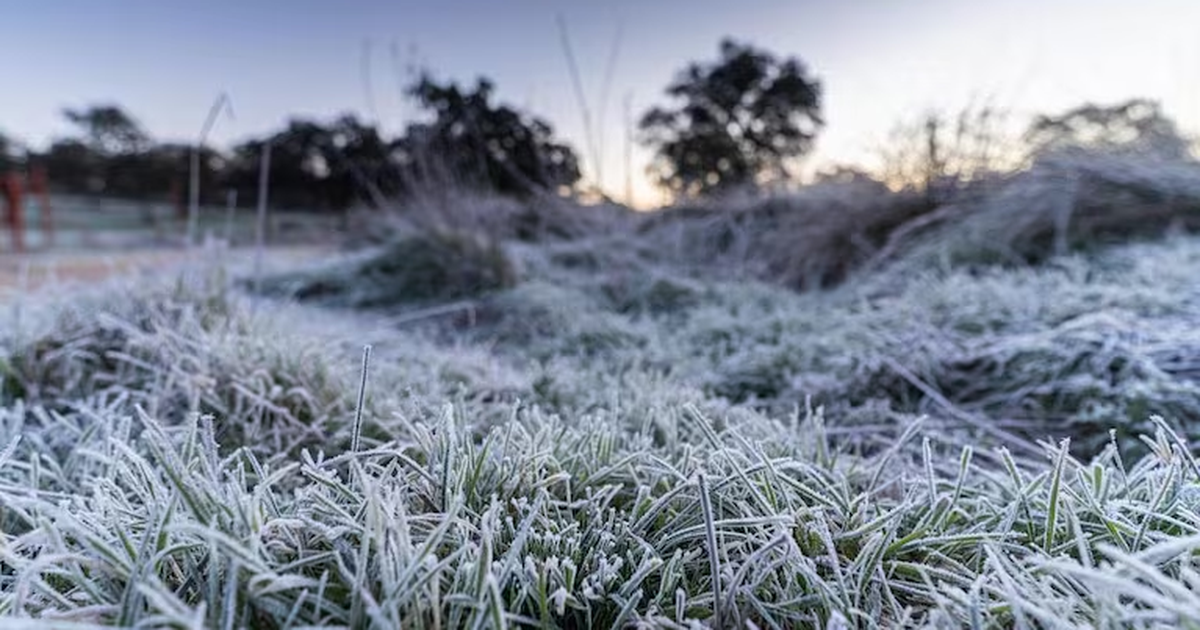 Qué es la helada negra, el peligroso fenómeno climático que puso en ...