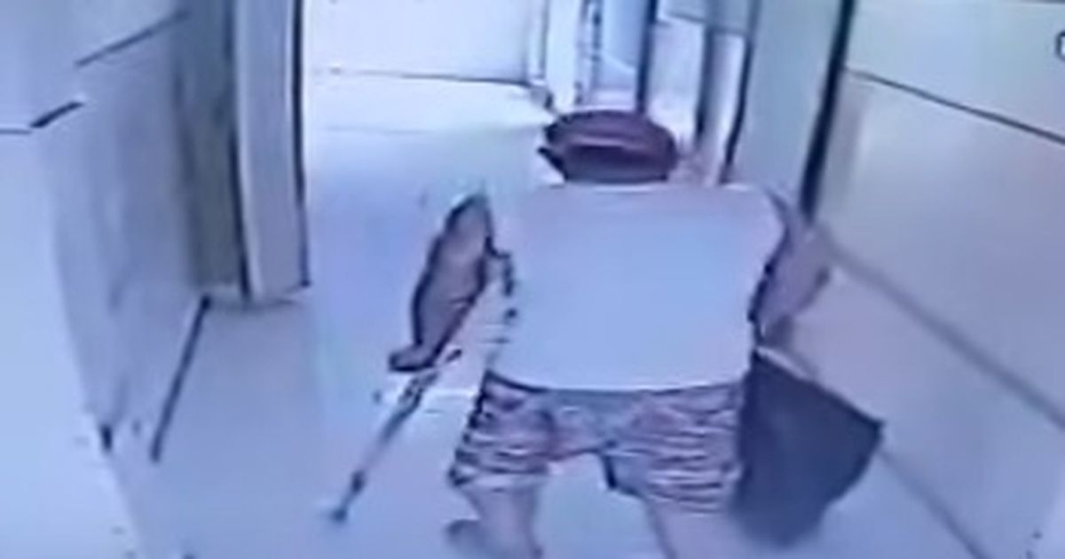 Rengo, rengo, pero vengo: con muleta incluida, mirá cómo roba en un ...