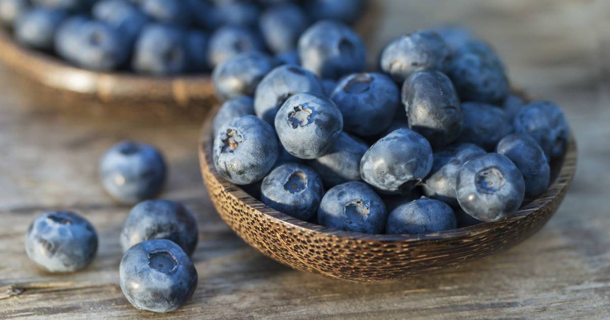 Las propiedades medicinales de los arándanos: para qué sirven