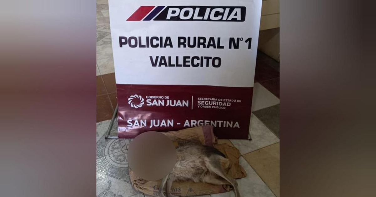 Los descubrieron con un animal muerto en el baúl y los detuvieron