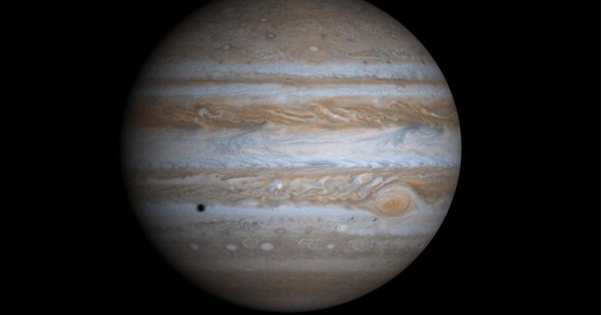 Foto viral: el hallazgo de un delfín nadando en Júpiter