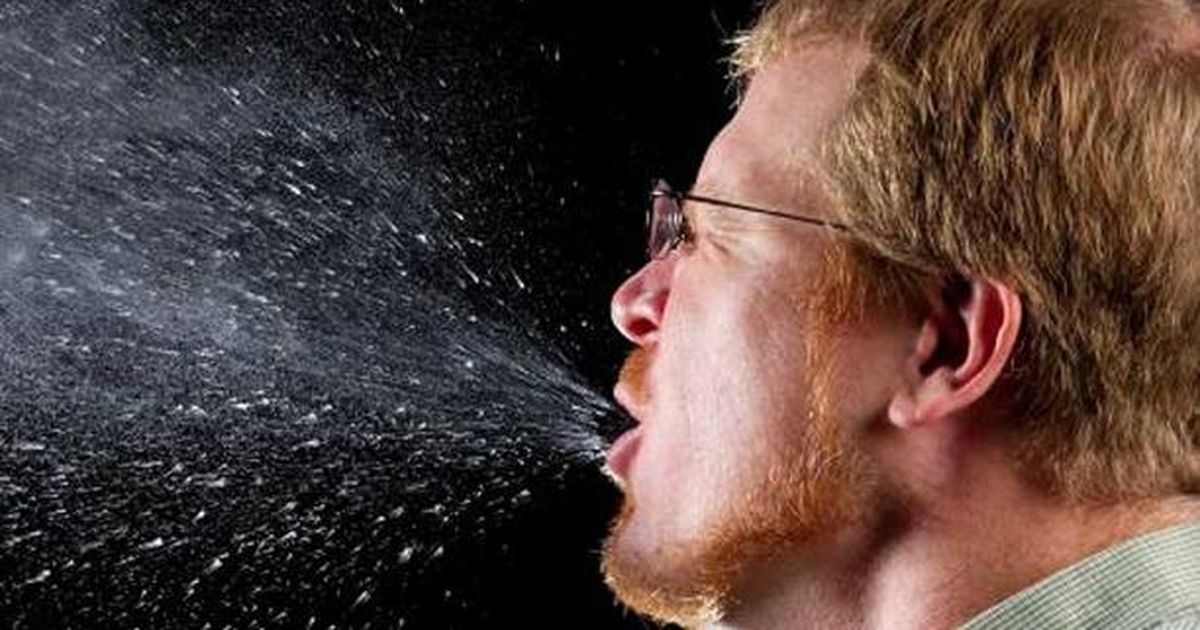 Apto para babosos: Científicos revelan 10 cosas que seguro no sabias ...