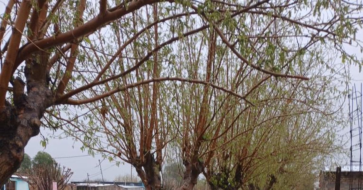Granizo en la Chimbera: mirá las fotos y videos