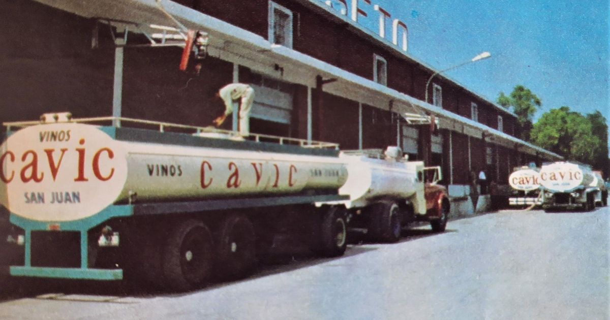 La Cavic, cómo nació el emporio vitivinícola que hizo brillar a San ...