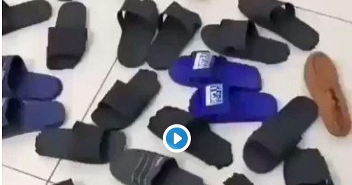 Loco viral: desbaratan banda de perros ladrones de chancletas