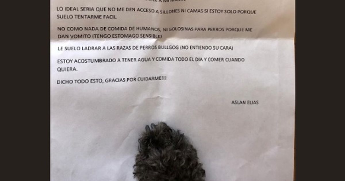 Loco viral: perro escribió una carta con indicaciones para su buen cuidado
