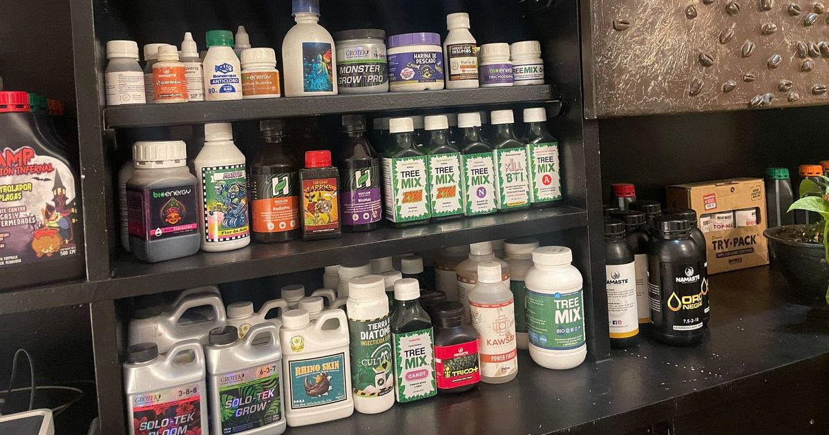 La respuesta de los dueños de los grow shops de Capital a la ...