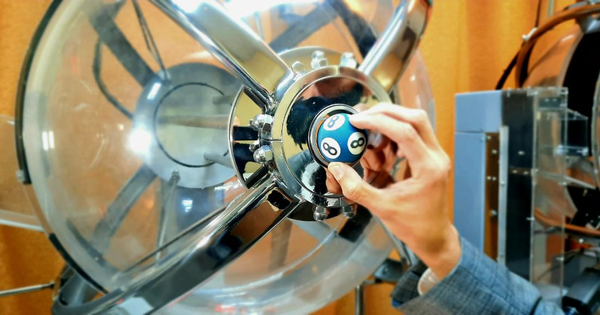 De bolillas chipeadas y pesadas a transmisión en vivo de principio a ...