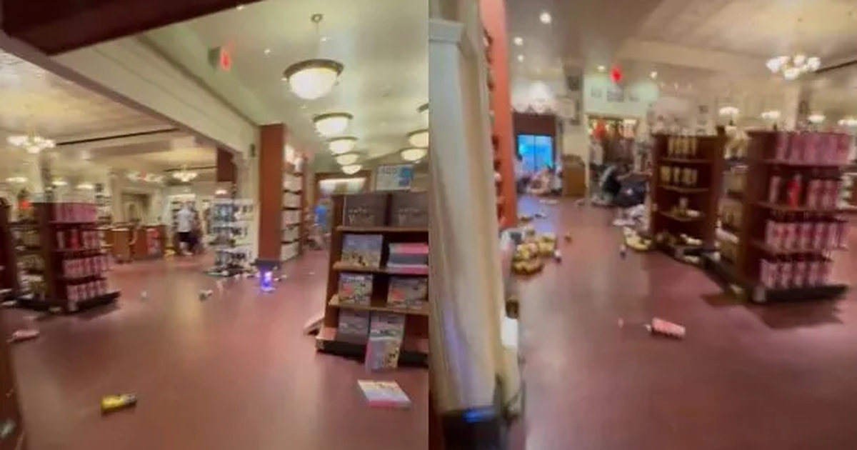 Pánico en Disney: una explosión generó corridas y desesperación dentro ...