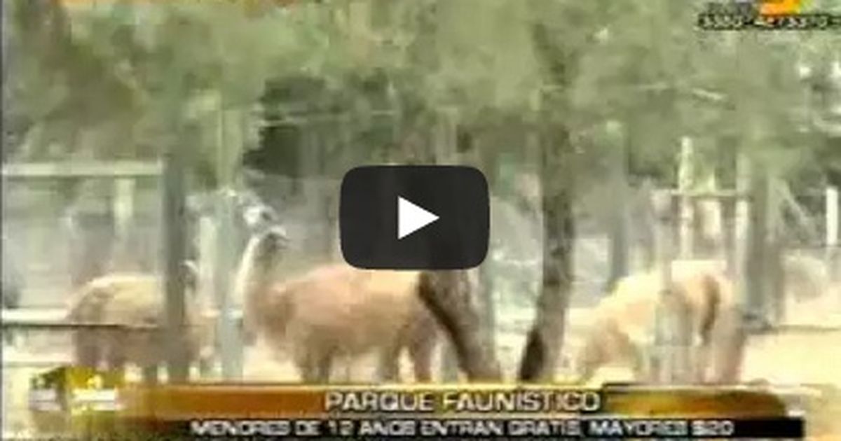 Conocé los atractivos del Parque Faunístico en el día del animal