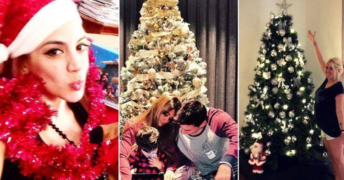 Palpitando Navidad: Los famosos armaron su arbolito