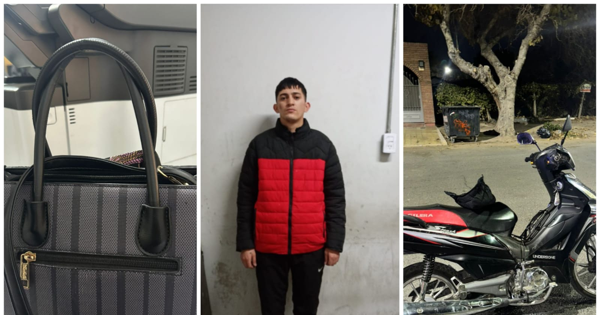Intentó robar una cartera, lo sorprendió la policía y protagonizó una ...